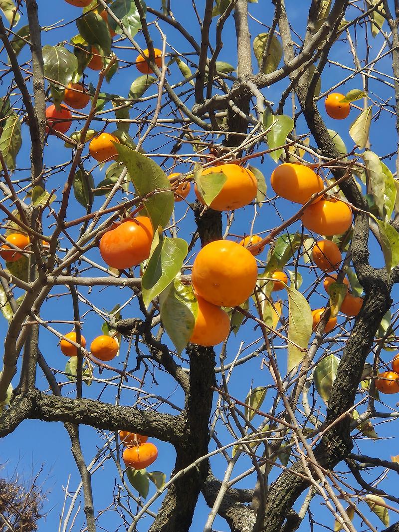 [paper AES] FIPS 197 review: Introduction