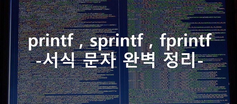 printf , sprintf , fprintf 서식 문자 완벽 정리 (%d, %f, %o, %n)
