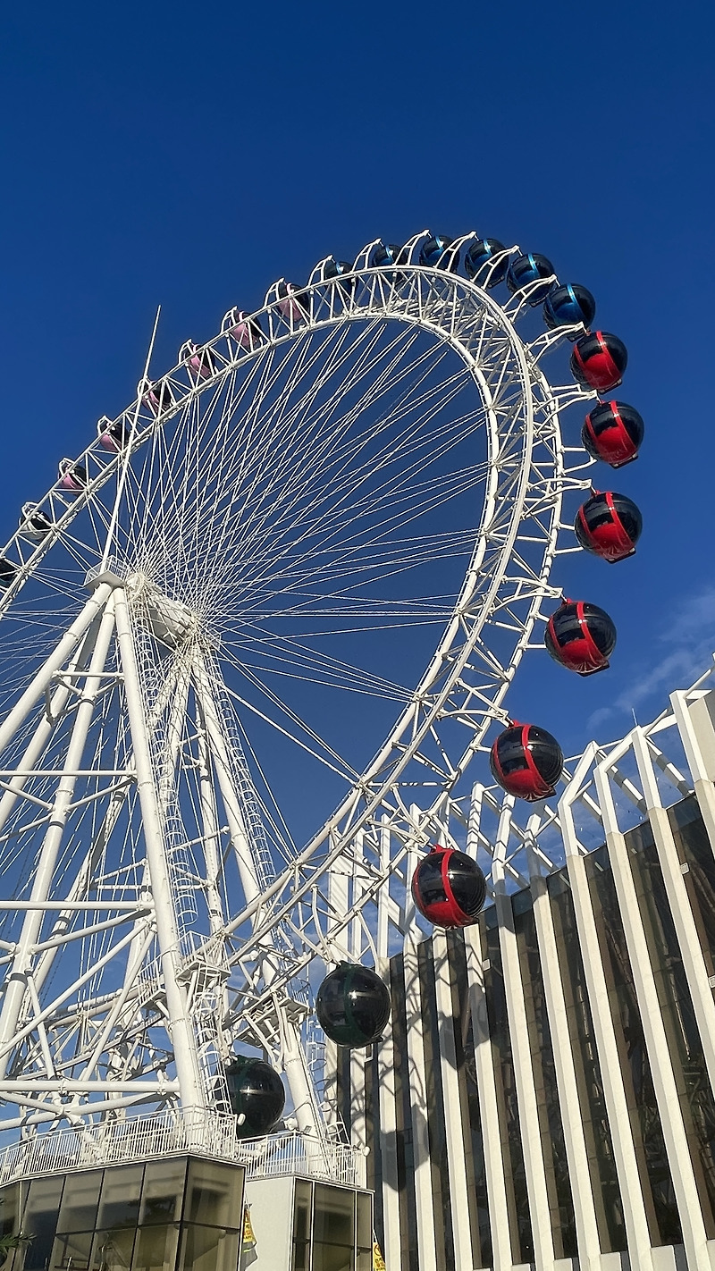 23년 6월 일상4 :: 잠시도 가만히 있지를 않네