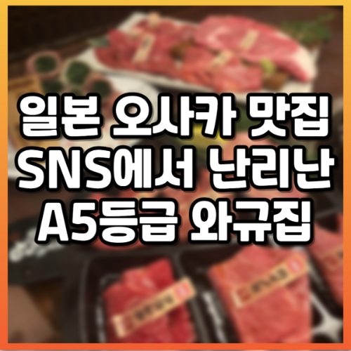 [일본 맛집]오사카 A5등급 와규 흑모화우(+SNS에서 난리남)