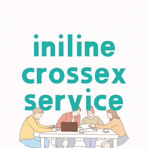 iniline crossex service 정체 및 제거방법 :: bongchira