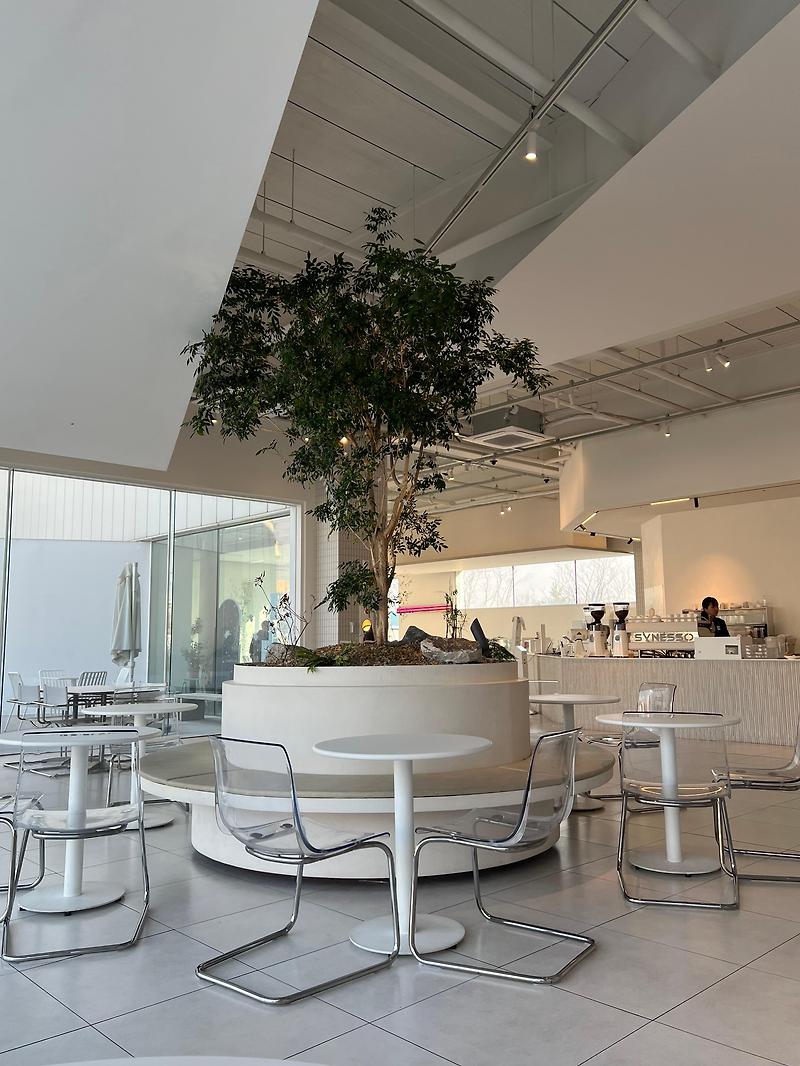 Gyeonggi-do, Icheon-si, '55Do' Brunch cafe but it's really pasta matjip