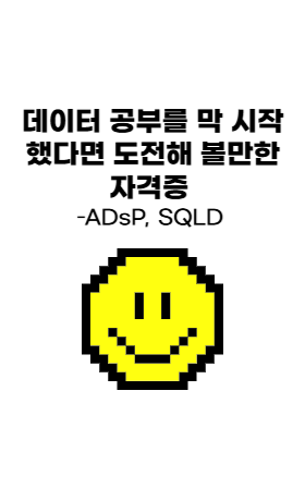 [데이터 분야 자격증 시리즈(2)] 데이터 공부를 막 시작했다면 도전해 볼만한 자격증: ADsP, SQLD