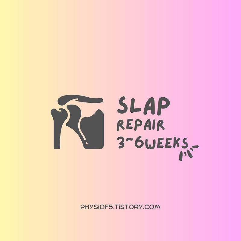 SLAP/Labral repair 3~6주차
