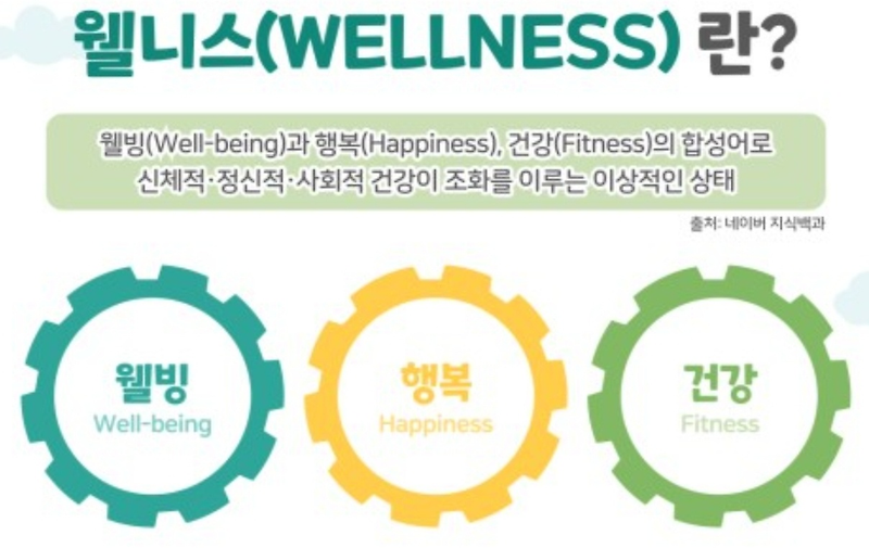 Core Value of Wellness _ Well-being + Happiness + Fitness = Wellness Life