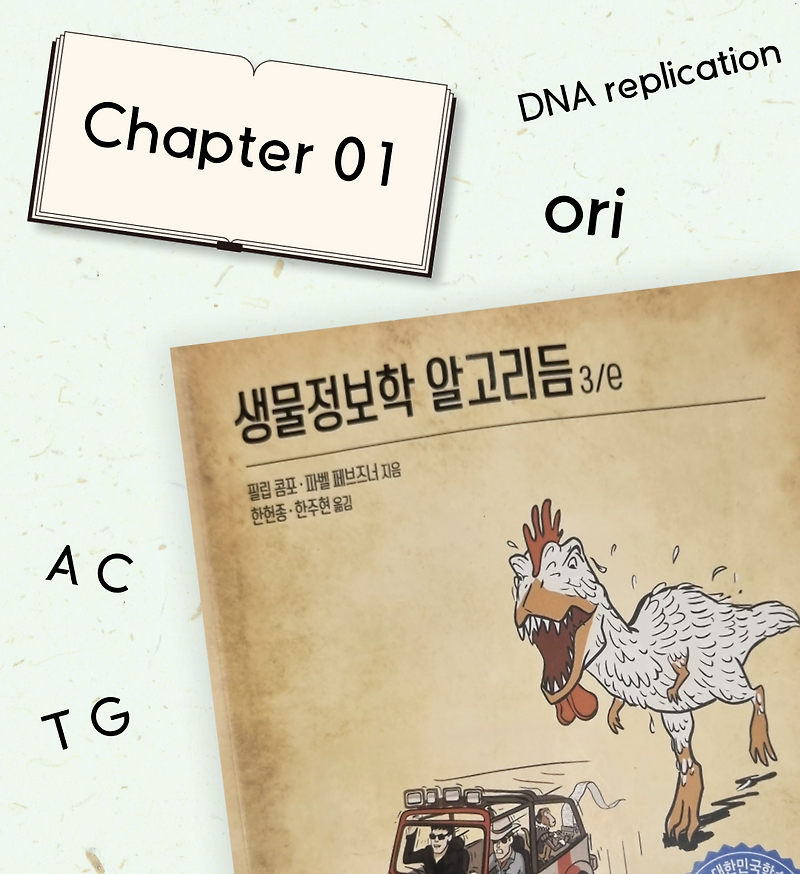 [Bioinformatics Algorithms Ch 01] The algorithm of DNA Replication