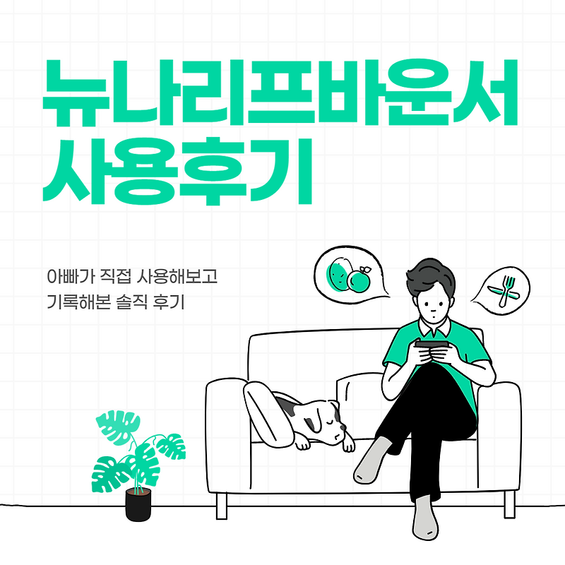 신생아 뉴나 리프 바운서 사용후기