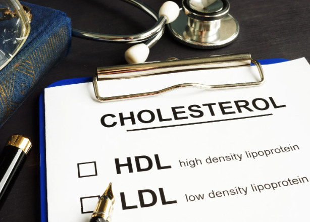 HDL콜레스테롤 정상수치와 좋은 음식은? :: 월벗