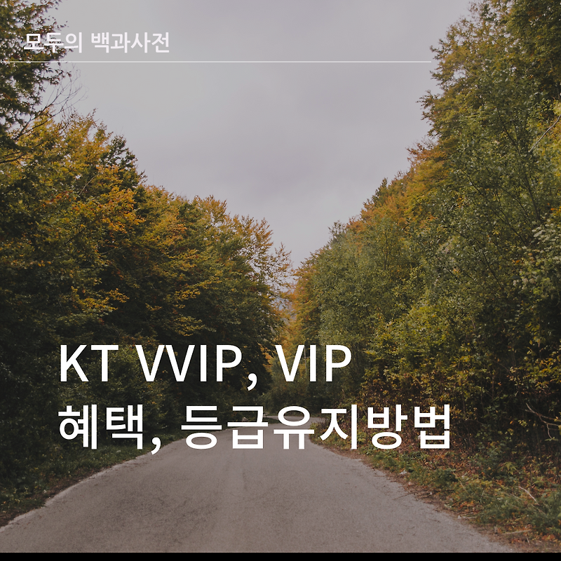 KT 멤버십 VVIP, VIP 혜택과 등급 유지 방법