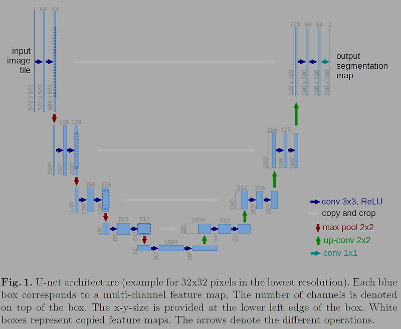 U-Net: Convolutional Networks for Biomedical Image Segmentation