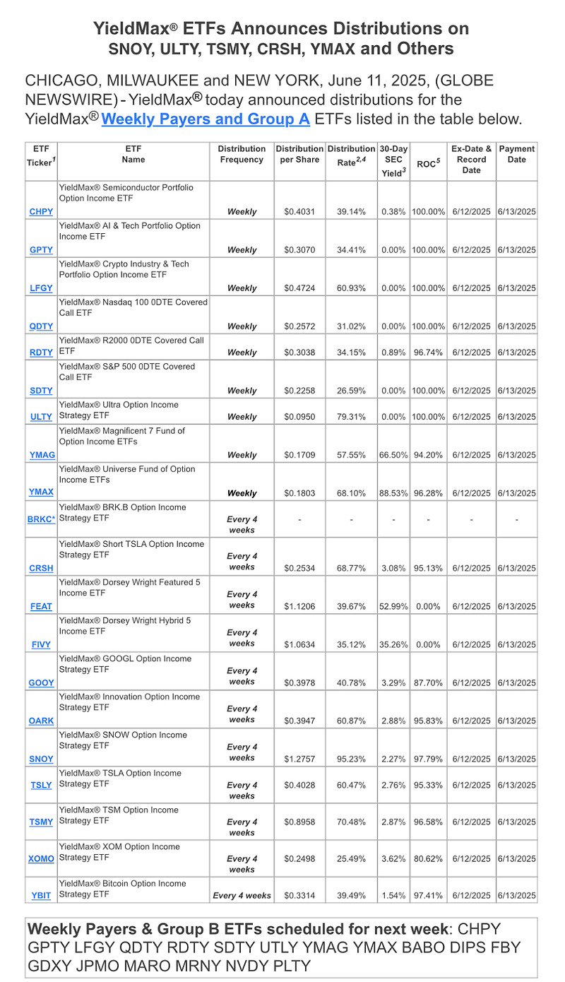 일드맥스 그룹A_TSLY ETF 6월 배당금 일정