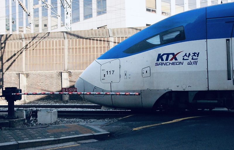 기차 파업 ktx 운행중지 안내