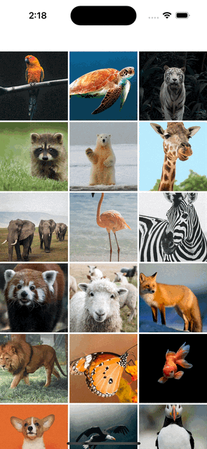 [ios] Collectionview의 모든 것