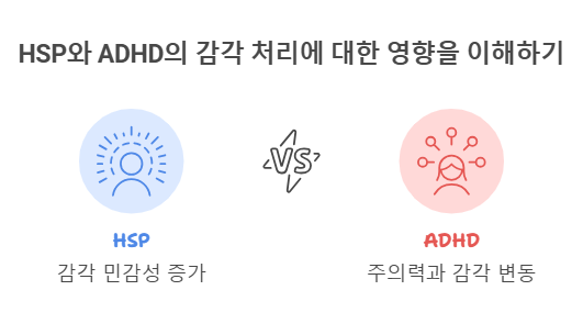HSP 매우 예민한 사람, ADHD 주의력 결핍 과잉 행동 장애 영상 요약 정리