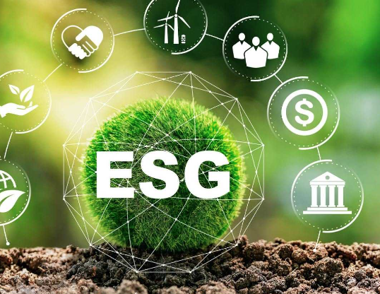 ESG 투자의 미래와 수익성 분석