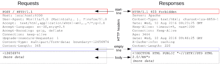 [WEB] Multipart/form-data