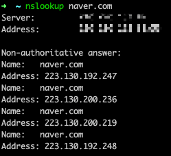 [Java] JVM DNS Caching TTL 설정(networkaddress.cache.ttl)