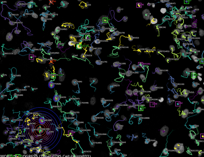 [Cell Tracking] ultrack 모델 튜토리얼(feat. GPU) — Yoonstory