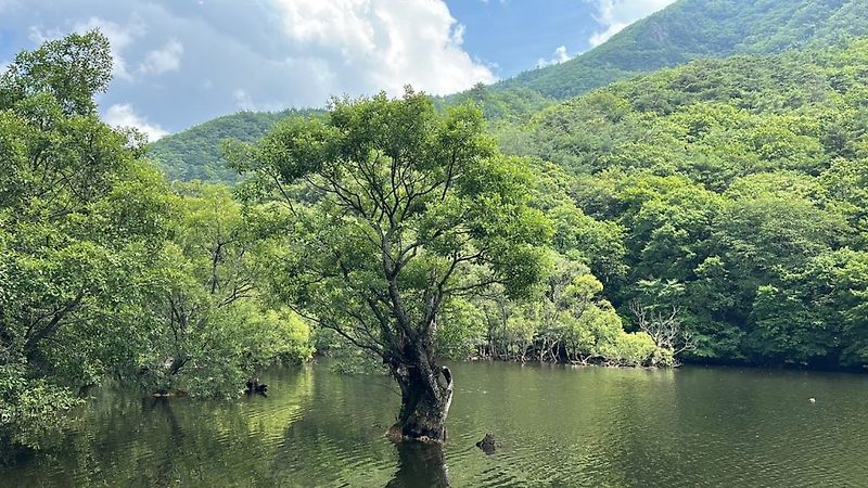 청송 여행지 알아보기