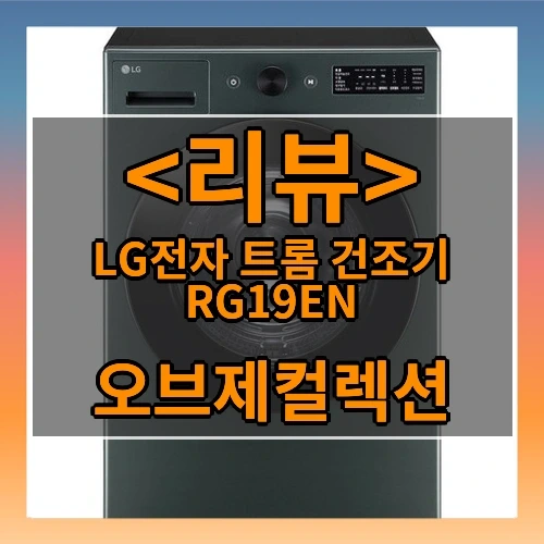 삶의 질 업그레이드, LG전자 트롬 건조기 RG19EN 추천