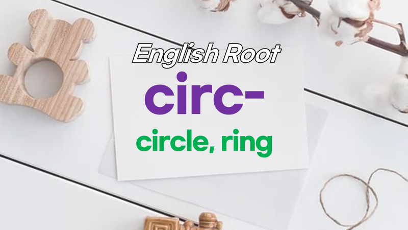 ENGLISH ROOT WORD: circ- from Latin circulari, circus
