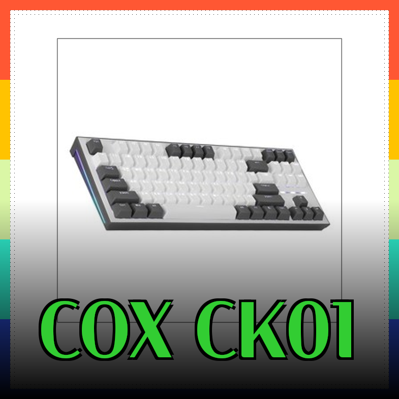 텐키리스 키보드 추천: COX CK01 TKL과 앱코 MK87 비교분석! 나에게 맞는 키보드는?