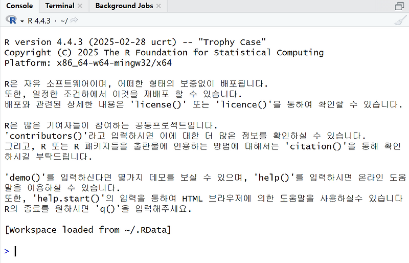 Rasch 분석 - 4. Rasch 분석 패키지 설치