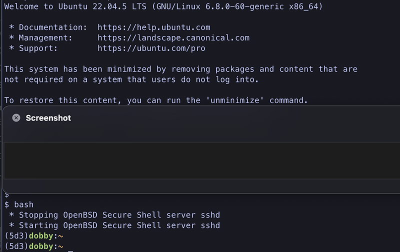 Docker Container에 SSH로 접속하는 방법 — 정도비 노트북