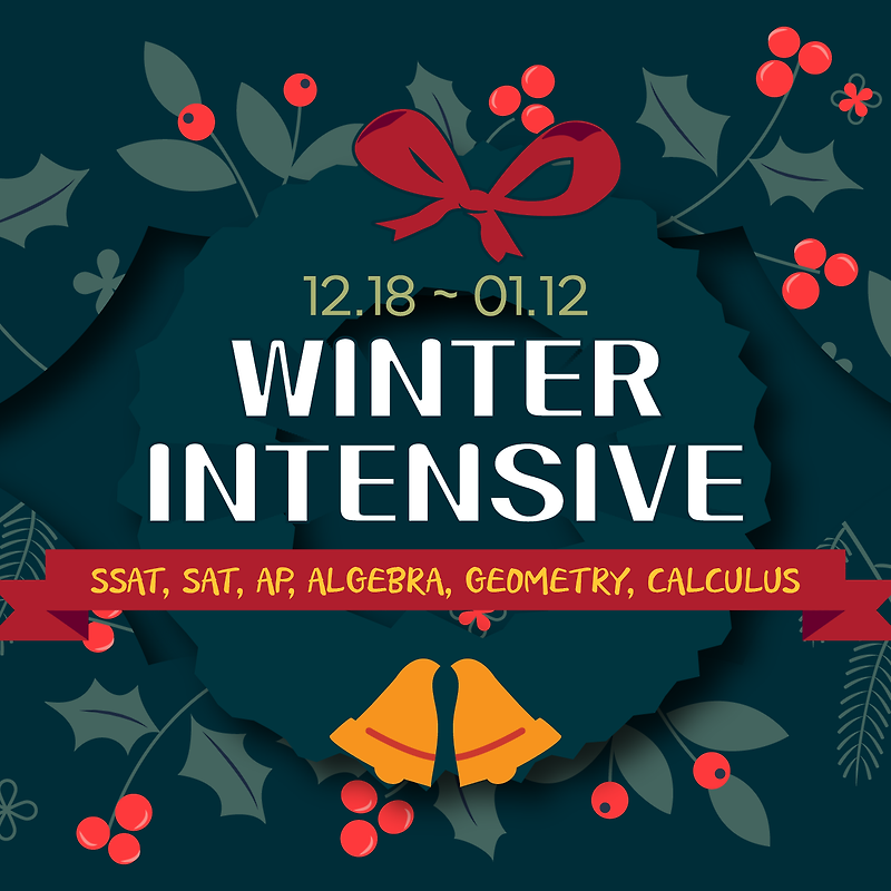 2024 winter intensive class / 2024 겨울방학 국제학교 특강 / 외국인학교 겨울방학특강