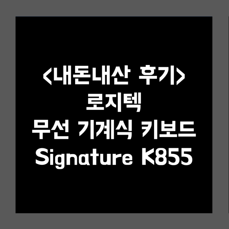 [내돈내산] 로지텍 무선 기계식 키보드 Signature K855 구매 및 사용 후기 :: visionTECH