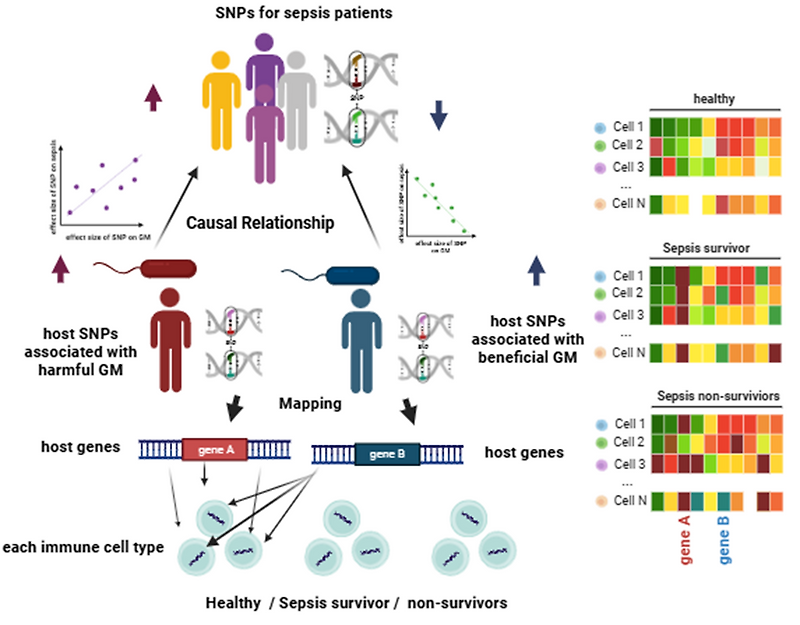 [37일차] 오픈소스 논문 리뷰 연습 03 :: Causal effects of gut microbiota on sepsis and sepsis-related death ...