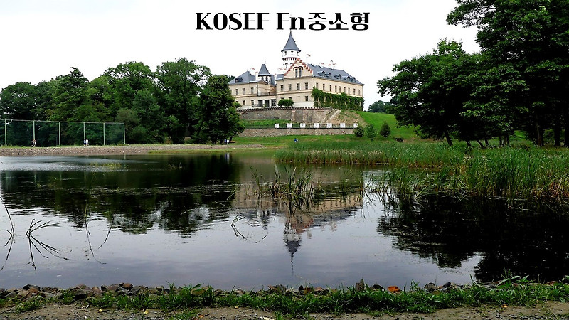 KOSEF Fn중소형/331910