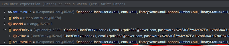 [ERROR] ModelMapper의 Optional — everything in sesam
