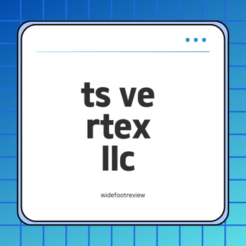 ts vertex llc의 모든 것 알아보기