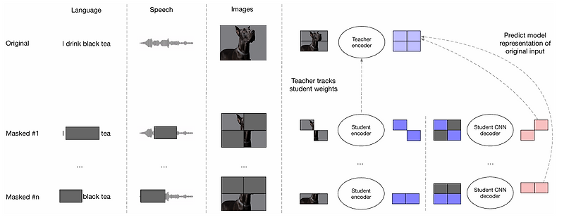 [Paper 리뷰] Data2Vec 2.0: Efficient Self-Supervised Learning with Contextualized Target ...