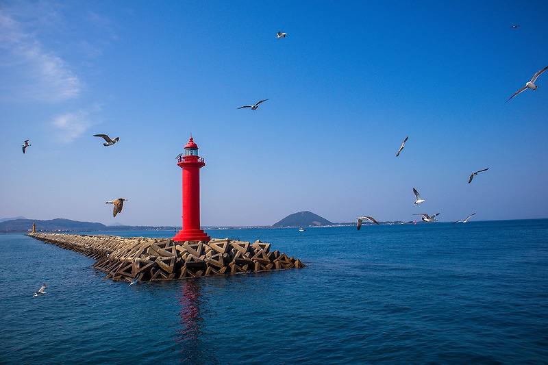 제주 새별오름 완벽 가이드 Saebyeol Oreum: A Must-Visit Spot in Jeju!