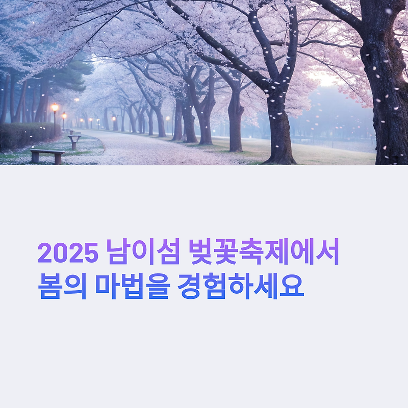 남이섬 벚꽃축제 2025, 봄이 머문 곳에서 벗(友)과 꽃을 보다