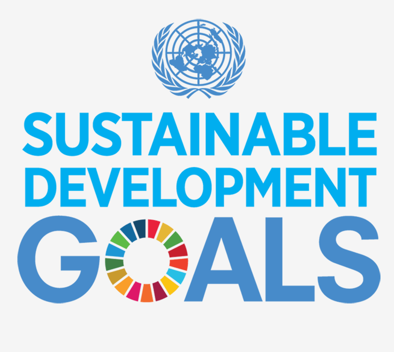 [2030년까지 우리가 이행해야 할 목표들이 있다고?] SDGs 코이카 국민서포터즈 WeKO가 알려드려요! #지속가능개발목표 :: All With Me