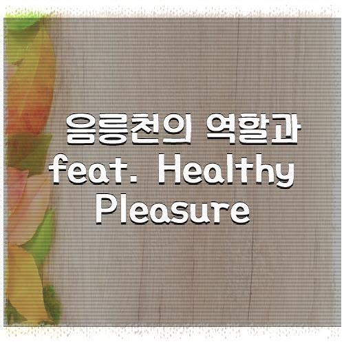 음릉천의 역할과 feat. Healthy Pleasure