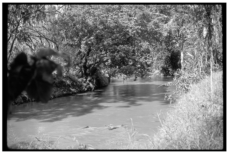 Digital Image Processing - Texture