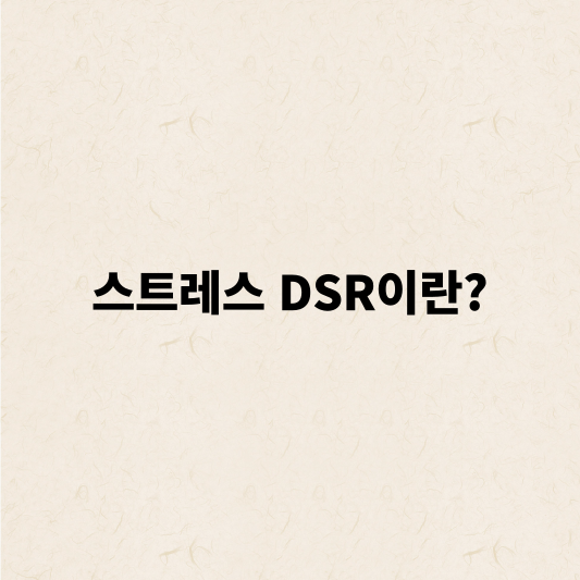 스트레스 DSR(Debt Service Ratio)이란?