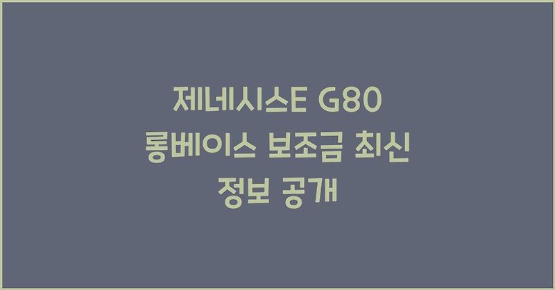 제네시스E G80 롱베이스 보조금 최신 정보 공개