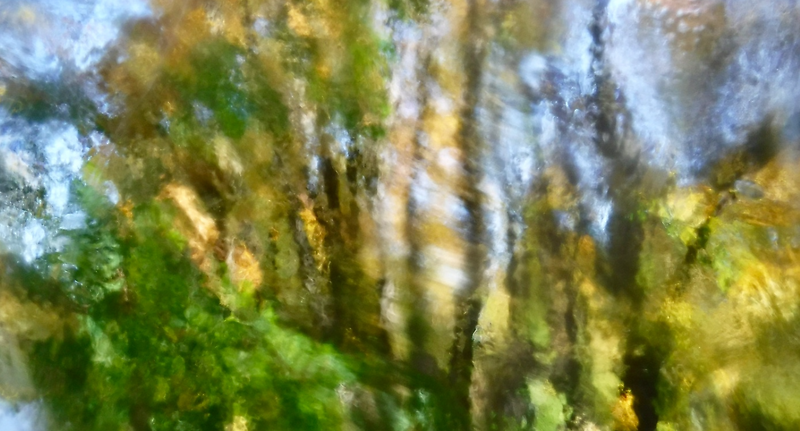 임억령,"가을의 떨림 秋興"