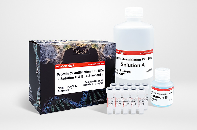 Protein Quantification Kit - BCA