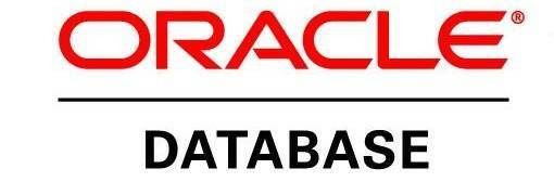 Oracle Data Type