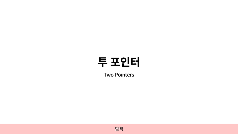 투 포인터(Two Pointers) (Python) — 잘익은 망고쥬스