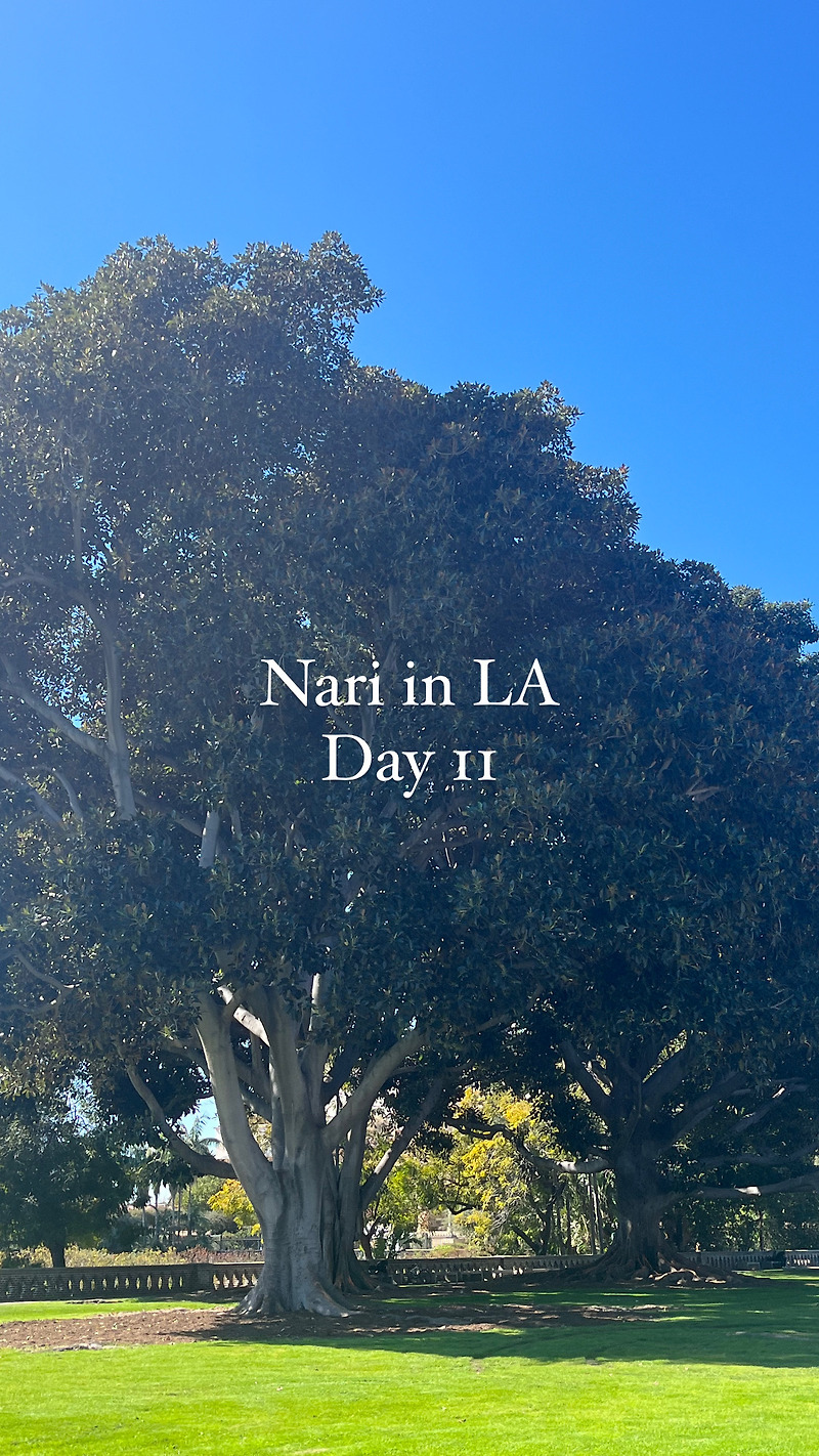 Day 11: Free Lyft for USC students