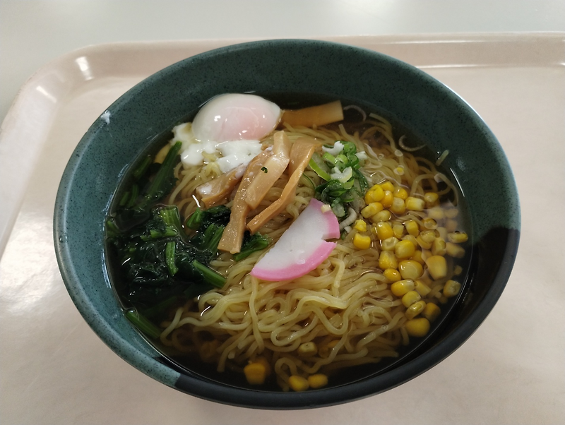 JAIST 생존일지(10/23) - 하루종일 논문 봤음...