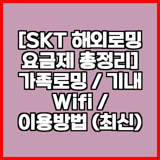 [SKT 해외로밍 요금제 총정리] 가족로밍 / 기내 Wifi / 이용방법 (최신)