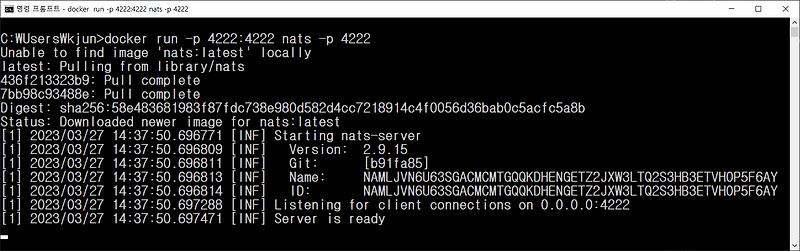 kjun.kr (kjcoder.tistory.com) :: [C#/NATS] Docker NATS 서비스 이용해 Pub/Sub 하기